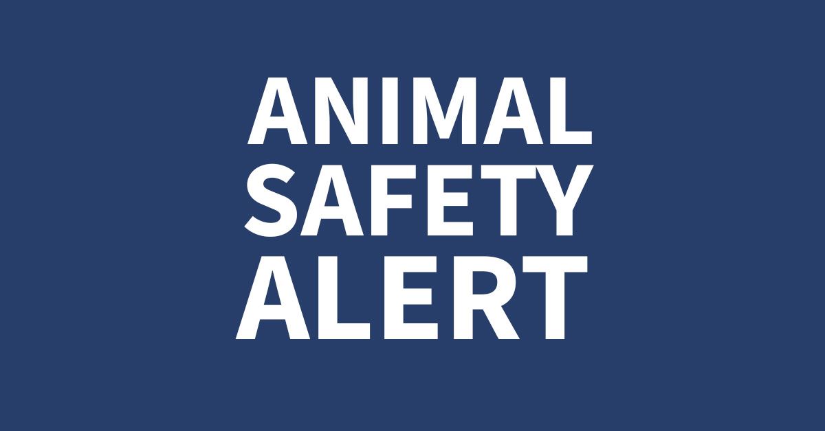 Public Safety Extends Animal Safety Alert Due To Severe Cold Weather ...