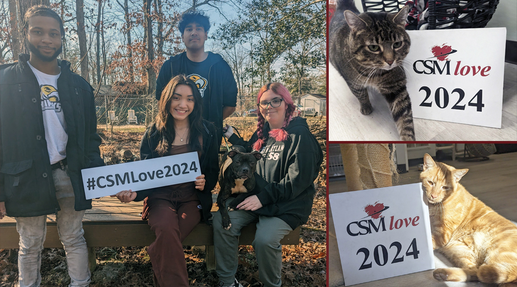 CSM Hawks Make Paw-sitive Impact For Shelter Pets - The BayNet