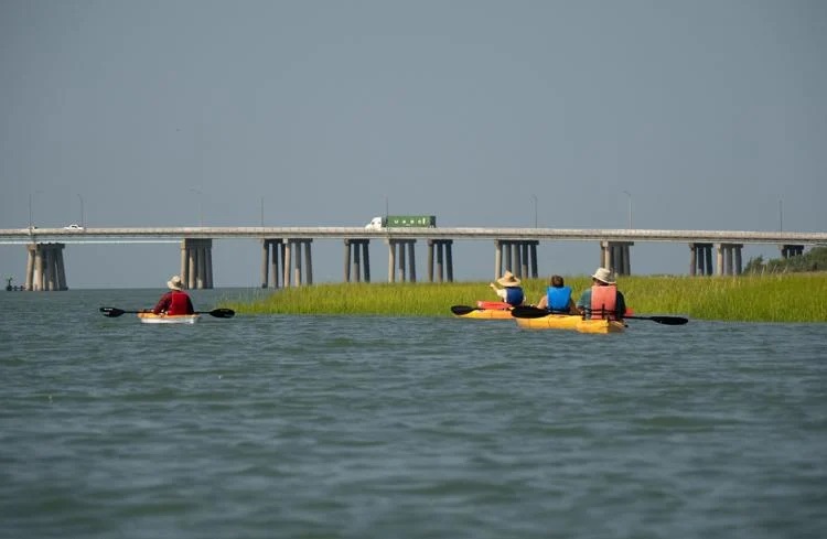 Will Climate Change Add More Nutrient Pollution To The Chesapeake Bay ...