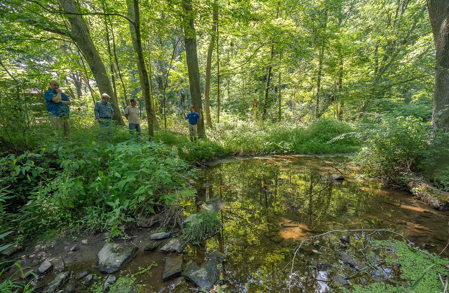 Will A Focus On Stream Health Help Boost The Chesapeake? - The BayNet