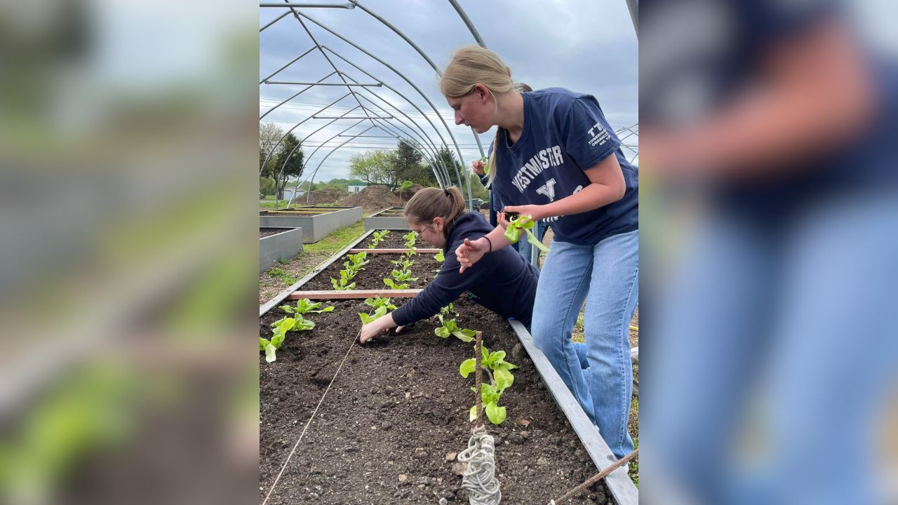Farming 4 Hunger: Cultivating Community And Hope Through Agriculture ...
