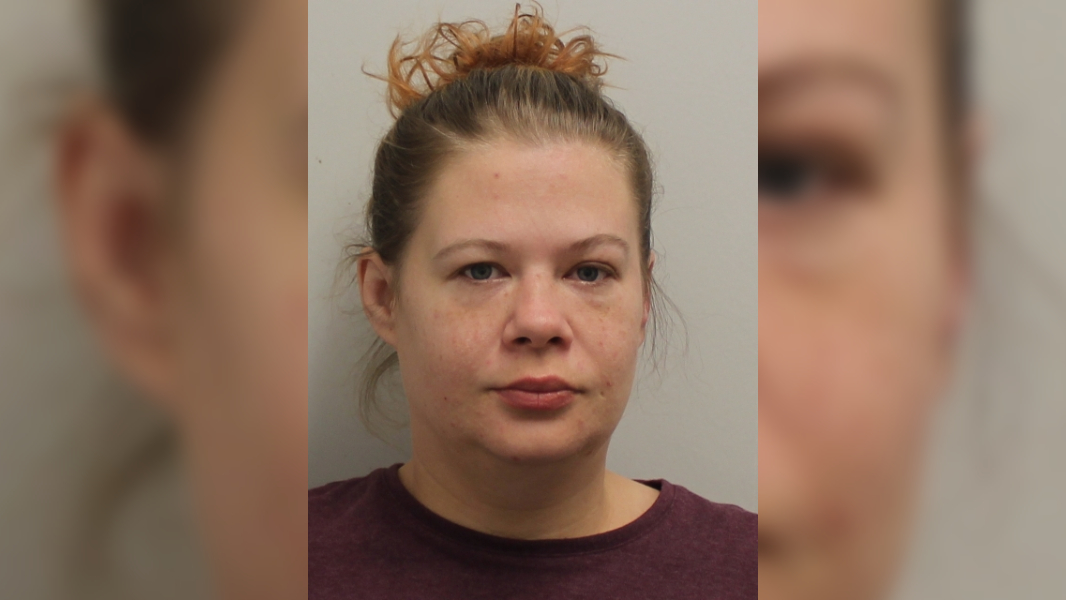 Bushwood Woman’s RV Rampage: Assault, Theft, And Destruction Mark Crime ...