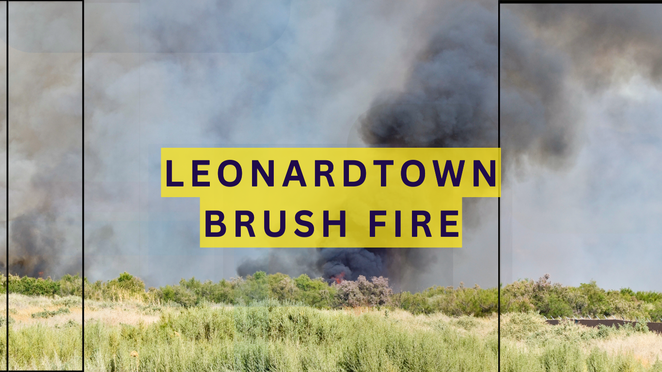 Large Brush Fire Reported Off St. Margarets Drive in Leonardtown - The ...