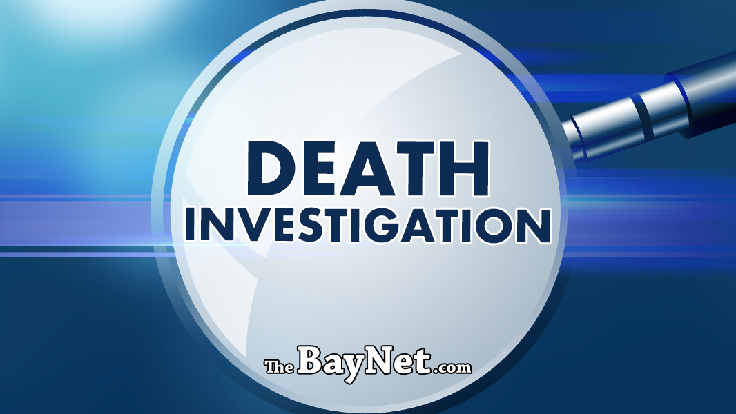 Human Remains Found In Burning Vehicle Behind Davidsonville Business ...