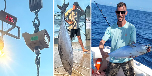North Carolina Angler Breaks Maryland’s 30-Year-Old False Albacore ...