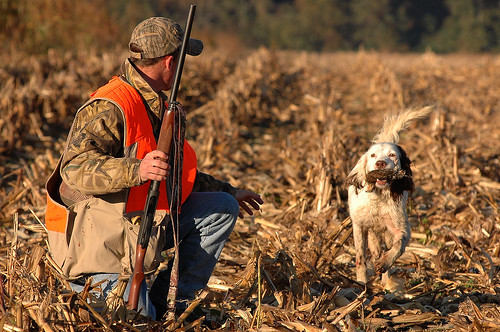 Maryland Begins Migratory Game Bird Hunting Seasons For 2025-2026 - The ...
