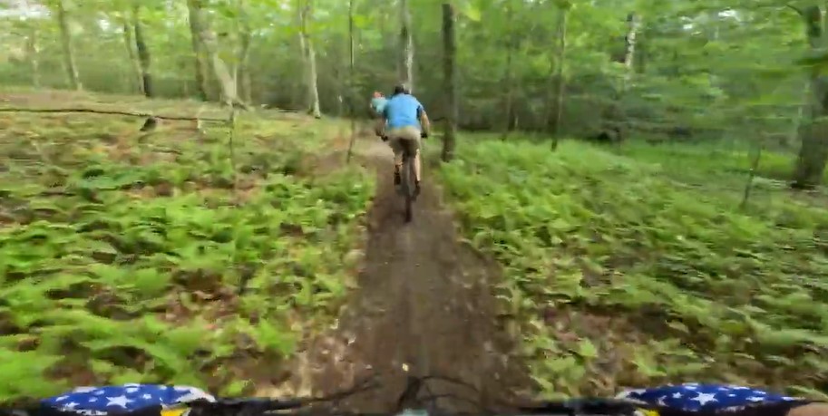 New Fern Trail Opens At Chaptico Park, Offering Scenic Ride For ...