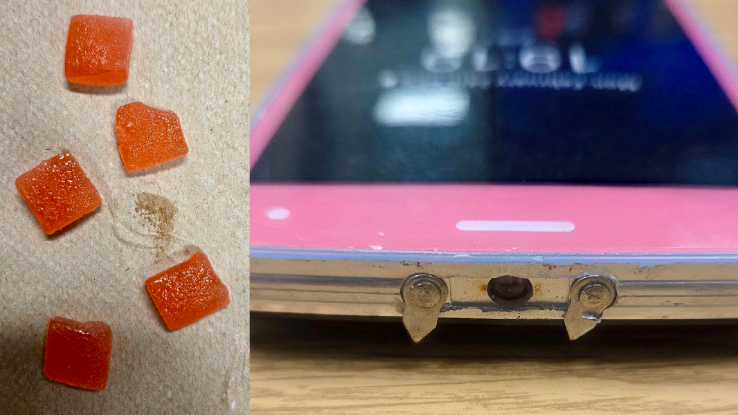 Student Falls Ill, Deputies Recover THC Gummies And Stun Gun - The BayNet