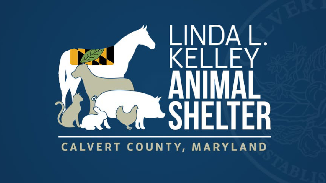 Linda L. Kelley Animal Shelter Launches “New Year, New Chapter ...