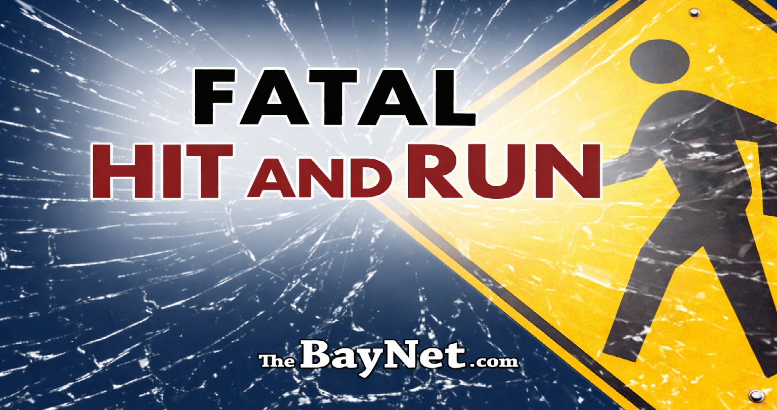 UPDATE: 43-Year-Old Man Killed In St. Charles Parkway Hit-And-Run - The ...