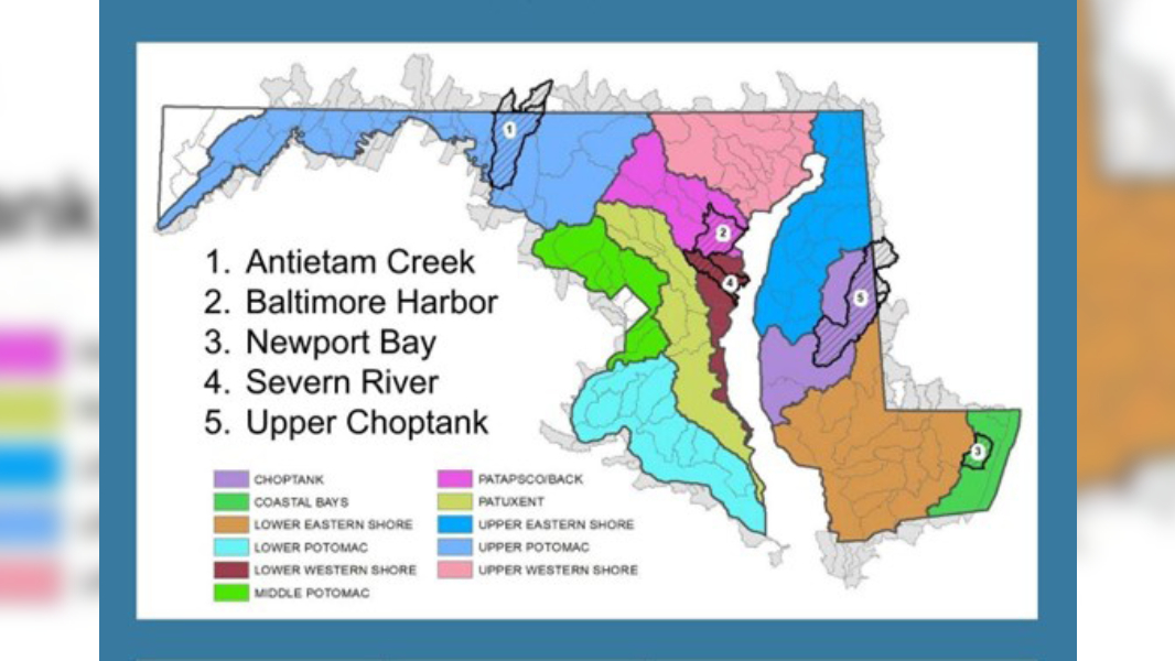 Whole Watershed Program Projects Prepare For Coordinated Restoration ...