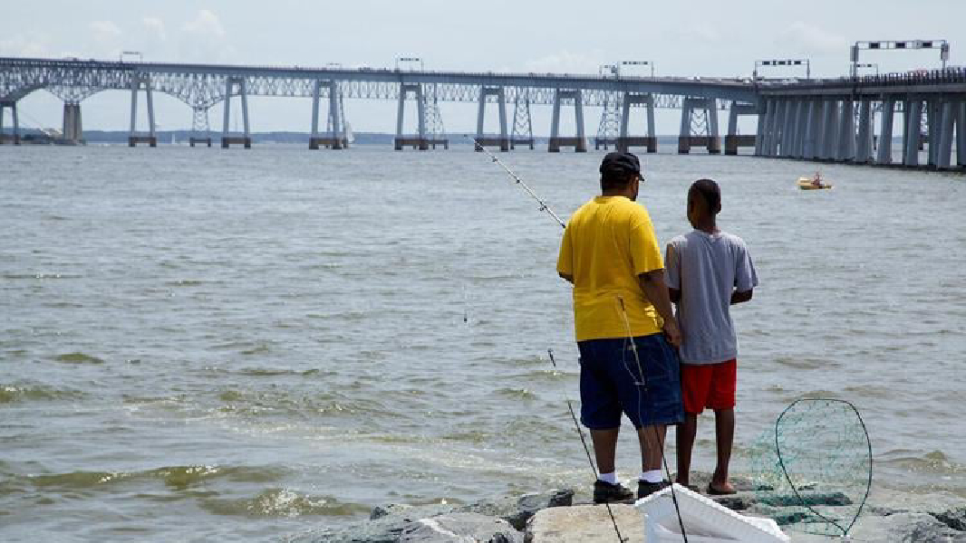 Bay Bridge Reinforcement Project Goes Out For Bids - The BayNet