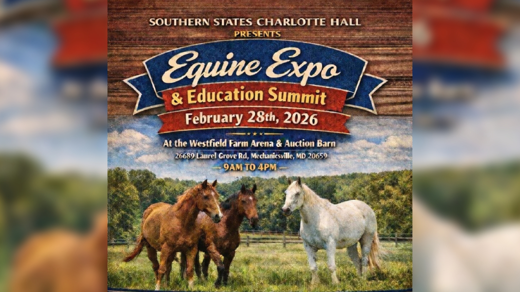 A Full Day Of Learning And Fun Planned For Mechanicsville Equine Expo ...