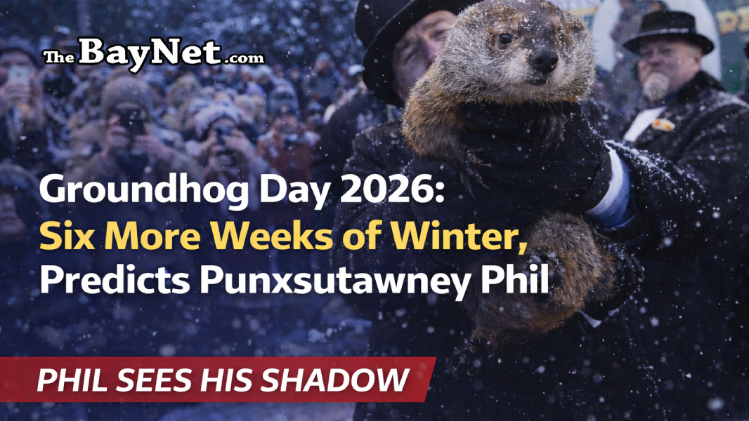 Groundhog Day 2026: Phil Delivers The Cold, Hard Truth... 6 More Weeks ...