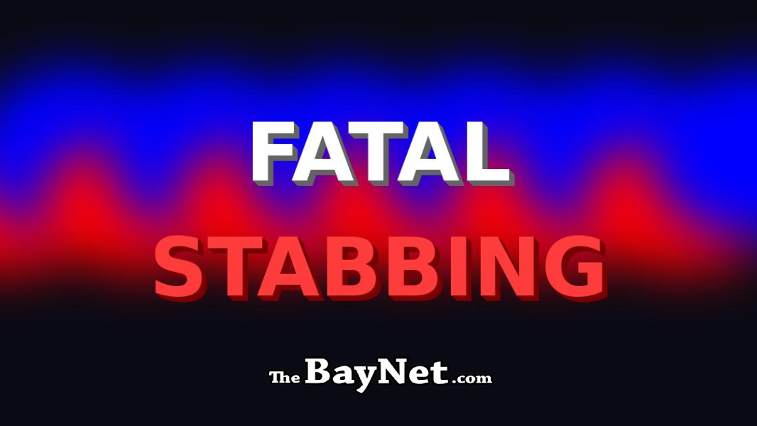 Police Identify Victim In Prince George's County Fatal Stabbing Case ...
